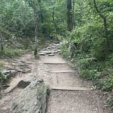 River and Matildaville Trail, Virginia - 949 Reviews, Map | AllTrails