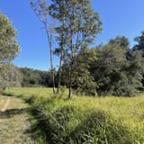 Enoggera Reservoir Circuit, Queensland, Australia - 1,696 Reviews, Map ...