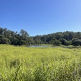 Enoggera Reservoir Circuit, Queensland, Australia - 1,696 Reviews, Map ...