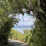 Discovery Park and Lighthouse Loop, Washington - 6,702 Reviews, Map ...