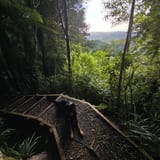 Cossey Massey Loop Track, Auckland, New Zealand - 889 Reviews, Map ...