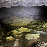 Buggytop Trail to Lost Cove Cave, Tennessee - 773 Reviews, Map | AllTrails