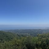 Cold Spring Loop, California - 2,324 Reviews, Map | AllTrails