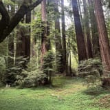 Bootjack Loop, California - 1,864 Reviews, Map | AllTrails
