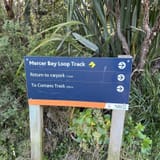 Mercer Bay Loop Track, Auckland, New Zealand - 634 Reviews, Map | AllTrails