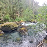 Duckabush River Trail to Five Mile Camp, Washington - 882 Reviews, Map ...