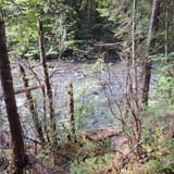 Duckabush River Trail to Five Mile Camp, Washington - 882 Reviews, Map ...