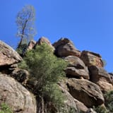 Moses Spring and Rim Trail Loop, California - 2,553 Reviews, Map ...