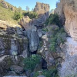 Moses Spring and Rim Trail Loop, California - 2,553 Reviews, Map ...