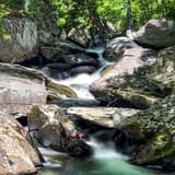 Boone Fork Trail, North Carolina - 3,393 Reviews, Map | AllTrails