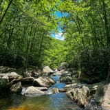 Boone Fork Trail, North Carolina - 3,393 Reviews, Map | AllTrails