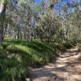 Pages Pinnacle , Queensland, Australia - 1,558 Reviews, Map | AllTrails