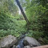 Frink Park Loop, Washington - 240 Reviews, Map | AllTrails