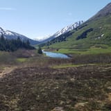 Carter Lake Trail, Alaska - 368 Reviews, Map | AllTrails