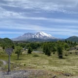 Hummocks Trail, Washington - 1,061 Reviews, Map | AllTrails