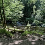 Golitha Falls, Cornwall, England - 170 Reviews, Map | AllTrails
