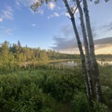 Amisk Wuche Trail, Alberta, Canada - 513 Reviews, Map | AllTrails