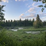 Amisk Wuche Trail, Alberta, Canada - 513 Reviews, Map | AllTrails