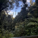 Cossey Massey Loop Track, Auckland, New Zealand - 889 Reviews, Map ...