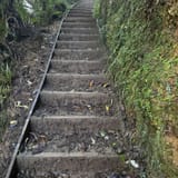 Cossey Massey Loop Track, Auckland, New Zealand - 889 Reviews, Map ...