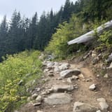 Bandera Mountain Summit, Washington - 1,544 Reviews, Map | AllTrails