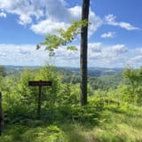 Hoye Crest (Backbone Mountain), West Virginia - 640 Reviews, Map ...