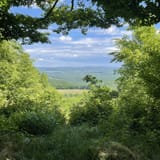Hoye Crest (Backbone Mountain), West Virginia - 640 Reviews, Map ...