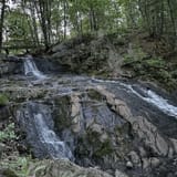 Fore River Sanctuary White Trail, Maine - 1,424 Reviews, Map | AllTrails