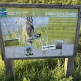 Fore River Sanctuary White Trail, Maine - 1,424 Reviews, Map | AllTrails
