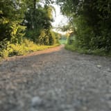 Fore River Sanctuary White Trail, Maine - 1,424 Reviews, Map | AllTrails