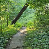 Cherokee Park Loop, Kentucky - 1,922 Reviews, Map | AllTrails