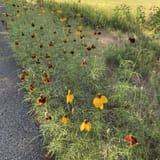 Sequoyah State Park Paved Trail, Oklahoma - 198 Reviews, Map | AllTrails