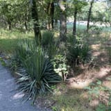 Sequoyah State Park Paved Trail, Oklahoma - 198 Reviews, Map | AllTrails