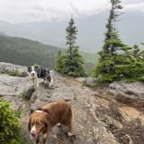 Imp Ledges Trail, New Hampshire - 543 Reviews, Map | AllTrails