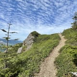 Mount Muller Trail, Washington - 190 Reviews, Map | AllTrails