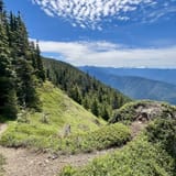 Mount Muller Trail, Washington - 190 Reviews, Map | AllTrails