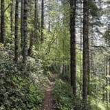 Mount Muller Trail, Washington - 190 Reviews, Map | AllTrails
