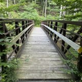 South Toe River Loop, North Carolina - 105 Reviews, Map | AllTrails