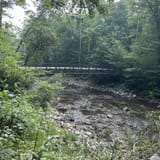 South Toe River Loop, North Carolina - 105 Reviews, Map | AllTrails