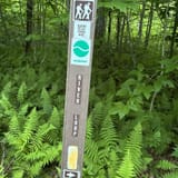 South Toe River Loop, North Carolina - 105 Reviews, Map | AllTrails