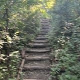 Cedar Ridge Outer Loop, Texas - 2,282 Reviews, Map | AllTrails