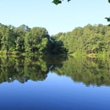 Lake Pine Loop, North Carolina - 1,291 Reviews, Map | AllTrails