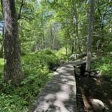 Fort Barton/Sin and Flesh Brook Trail, Rhode Island - 1,377 Reviews ...