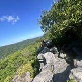 Wolf Rocks Trail, Pennsylvania - 1,401 Reviews, Map | AllTrails