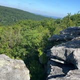 Wolf Rocks Trail, Pennsylvania - 1,401 Reviews, Map | AllTrails