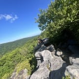 Wolf Rocks Trail, Pennsylvania - 1,424 Reviews, Map | AllTrails