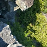 Wolf Rocks Trail, Pennsylvania - 1,424 Reviews, Map | AllTrails