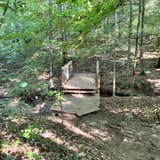 Henderson Park Loop, Georgia - 1,839 Reviews, Map | AllTrails