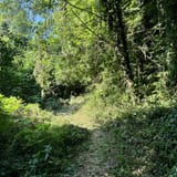 Henderson Park Loop, Georgia - 1,826 Reviews, Map | AllTrails