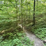 Henderson Park Loop, Georgia - 1,839 Reviews, Map | AllTrails